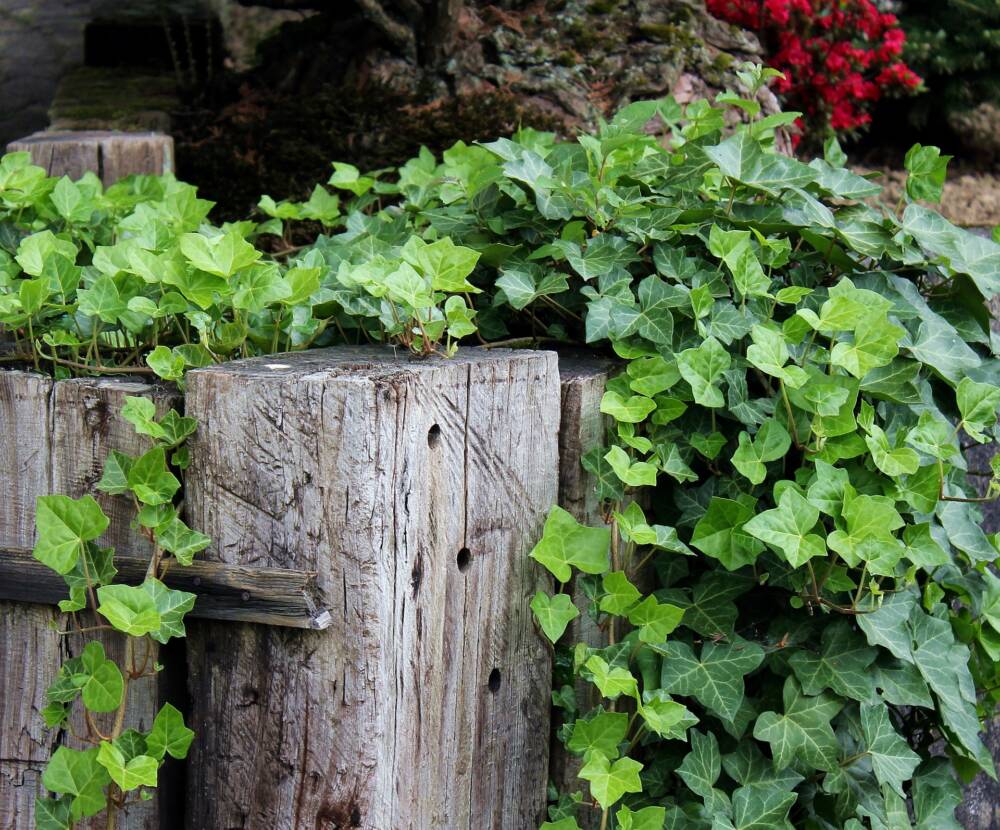 Cutting Railway Sleepers | The Complete Sleepers Guide ...